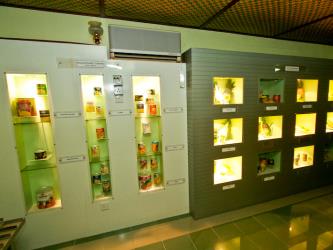 Pineapple Museum - KLIA.Info